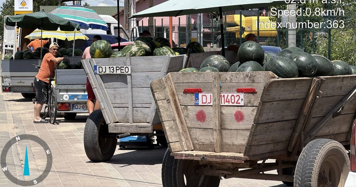 „Pepeni de Dăbuleni în iunie?!”. Cum au ajuns fermierii din Sahara ...