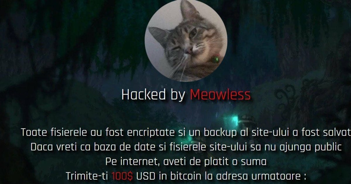 Hackerul Meowless, trimis de judecători la școală. Cu doar patru clase ...