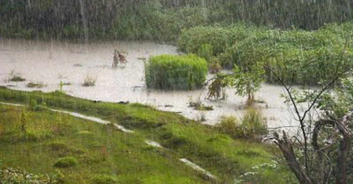 Prognoza meteo la munte în weekend: Cer înnorat și ploi slabe