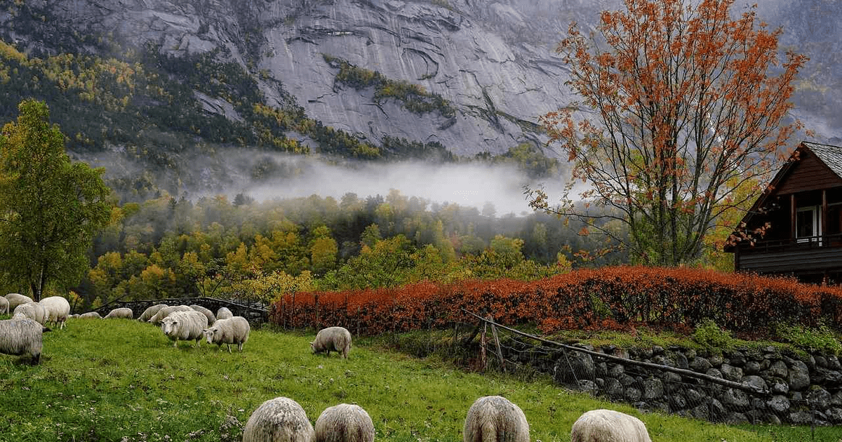 Transhumanța, inclusă în patrimoniul imaterial UNESCO