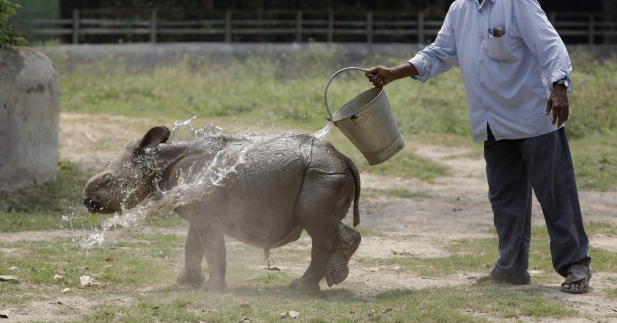 Documentare cu animale. Cele mai interesante producţii din seara ...