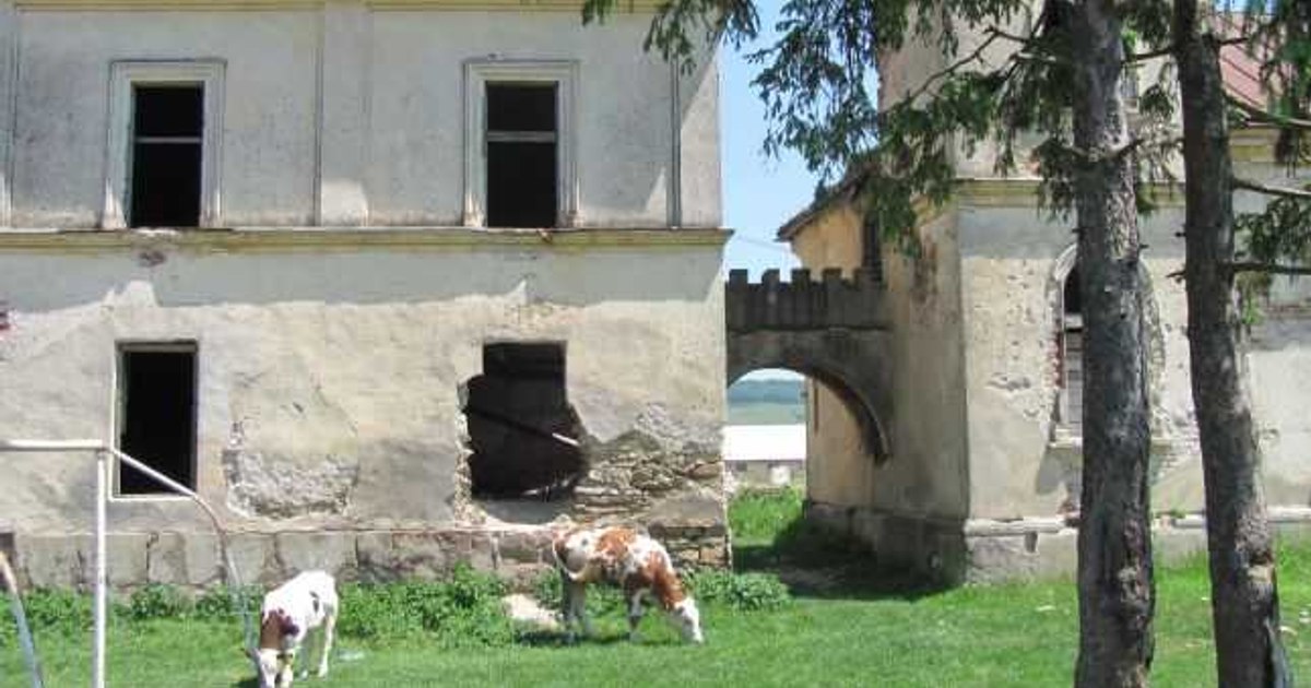 FOTO Castelul crimelor de la Treznea, măcinat de timp şi de nepăsare ...
