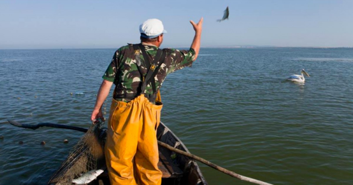 Cota de pescuit s-a dublat pentru un pescar din Delta Dunării: „În ...