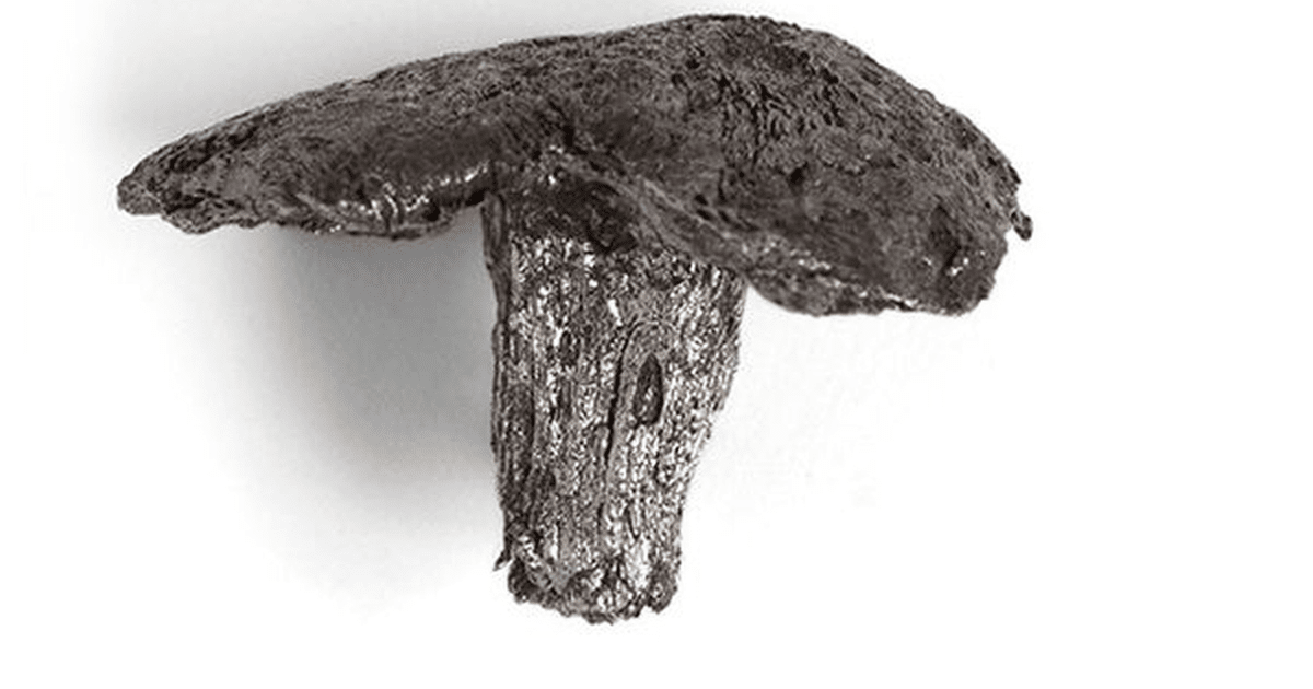 Un cui de construcție din castrul roman de la Coștiui, exponatul ...