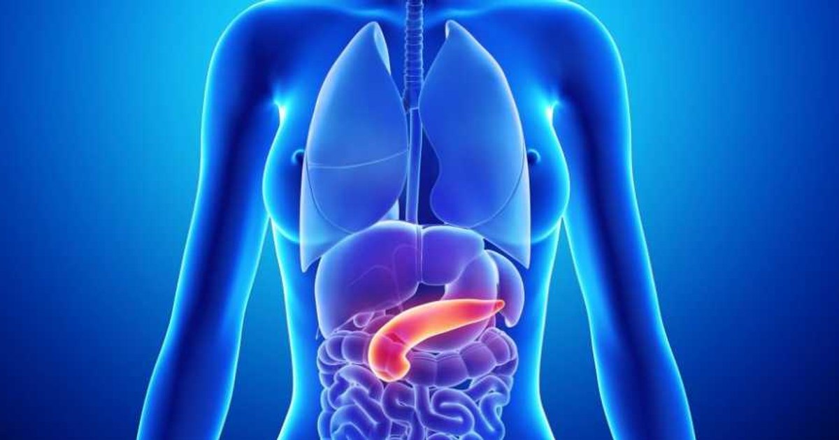 Care sunt alimentele care ne îmbolnăvesc pancreasul. Ce rol au ...