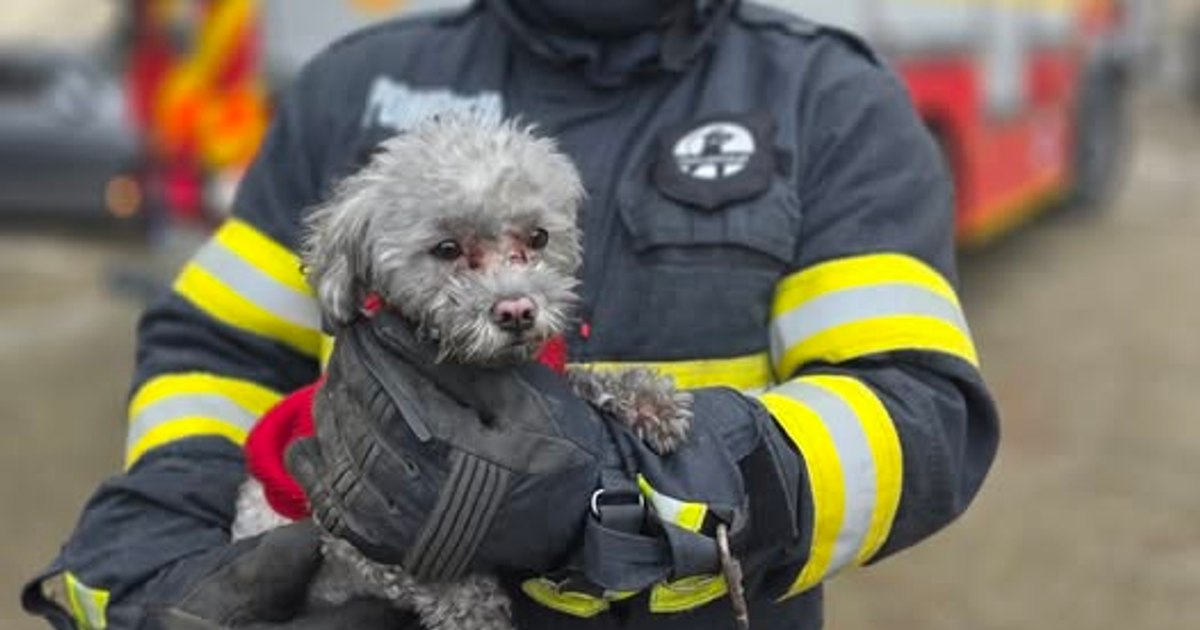 Incendiu în Giurgiu, 26 decembrie 2025
