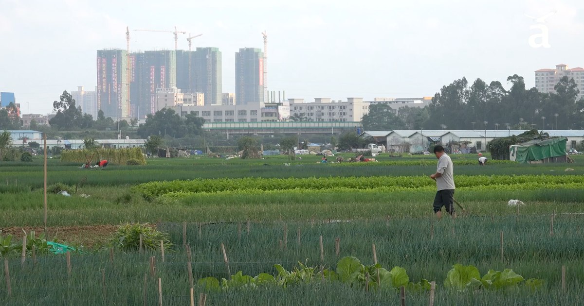 Azilele pentru tineri, un nou fenomen în China. Ce spune un proaspăt ...