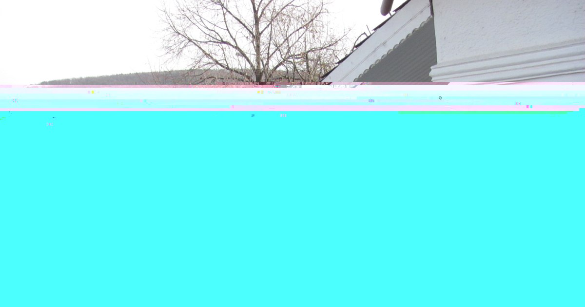 Viaţa de sihastru a exorcistului de la Tanacu. Fostul călugăr Corogeanu ...