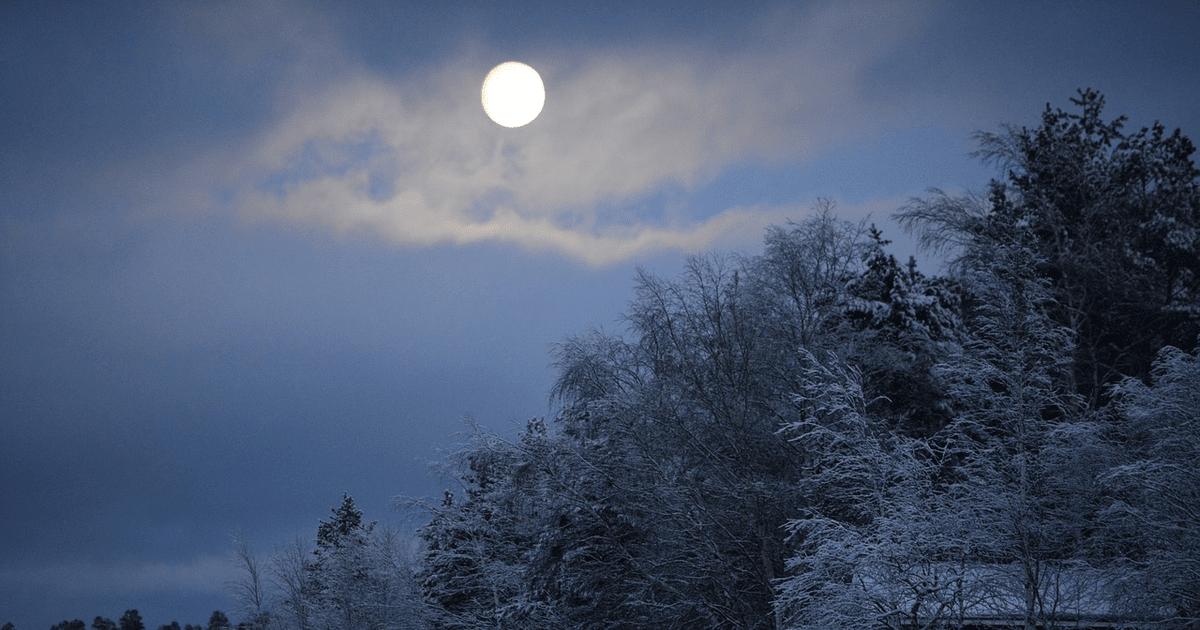 Luna rece, un fenomen special. Va avea loc chiar la finalul anului
