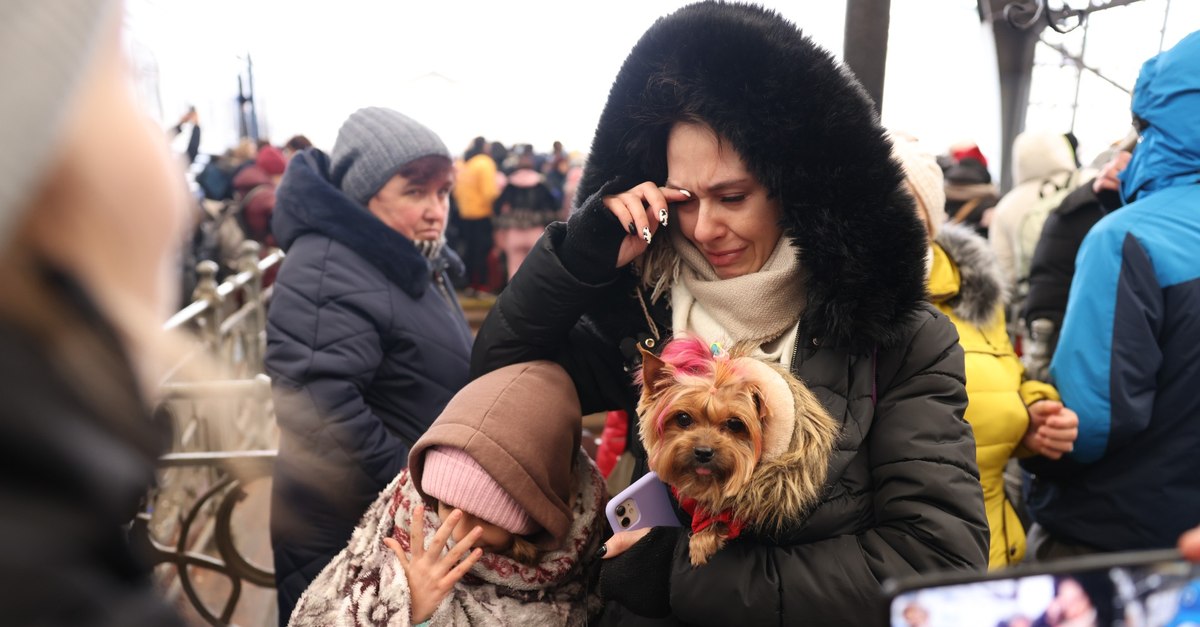 Boala eradicată din România care ar putea să reapară din cauza ...