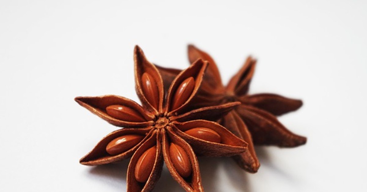 Podbalul, anasonul și angelica, trei plante cu efecte benefice pentru ...