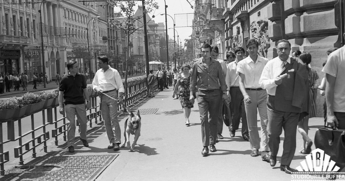 Brigada Diverse - Primul lot de imagini din timpul filmărilor de la B.D ...