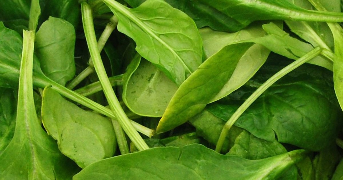 Spanacul este o sursă importantă de vitamine C şi A. De ce fierul şi ...