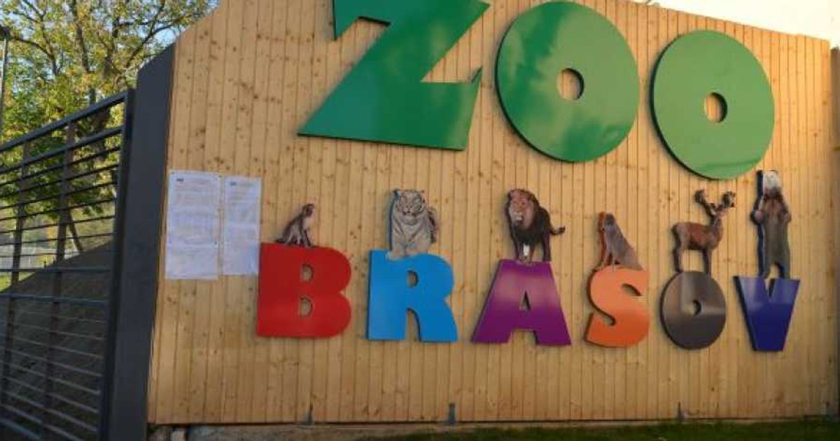 Noi atracţii în Grădina Zoologică Braşov: cămile, lei şi tigri albi ...