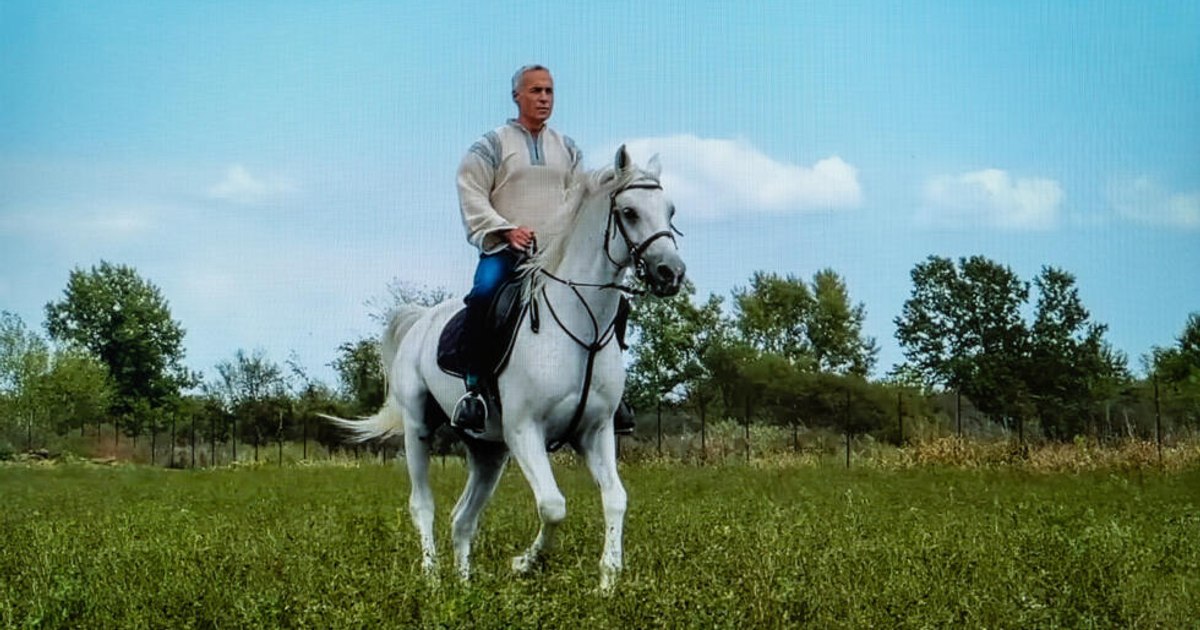 La ferma de cai din Ciolpani s-a așternut liniștea, la o săptămână ...