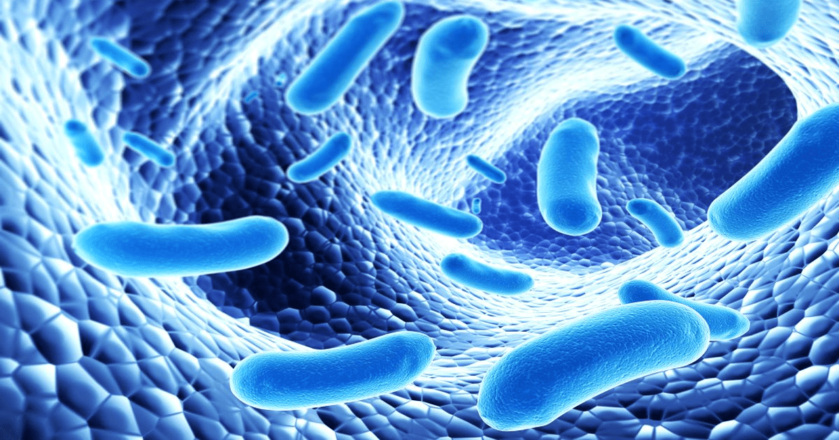 Descoperă care sunt cele mai bune surse de probiotice