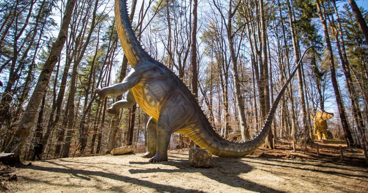 Prag psihologic depăşit la Dino Parc. Câţi vizitatori a avut parcul din ...