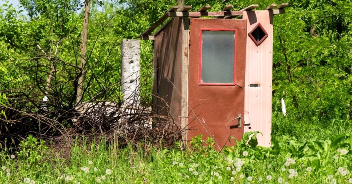 Școlile cu toaleta în curte, mai multe decât cele civilizate. Județul ...