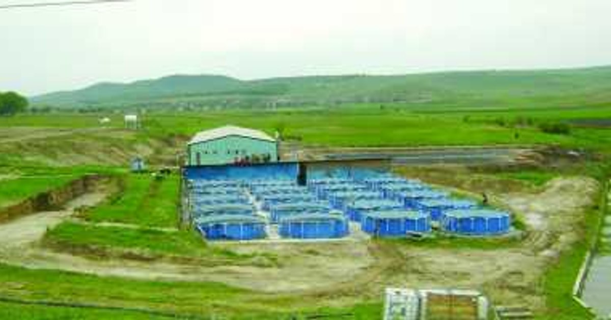 Constanţa: Singura crescătorie de sturioni din Tulcea | adevarul.ro