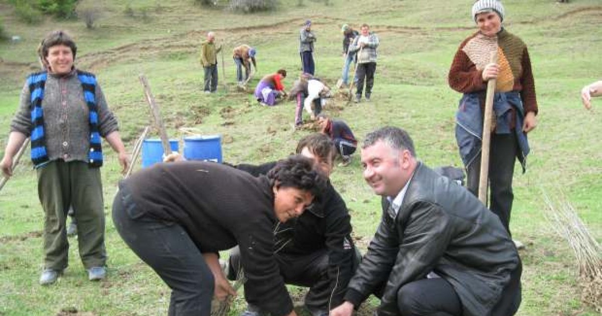 FOTO Campanie de împădurire în comuna Valea Stanciului. 20.000 de pomi ...