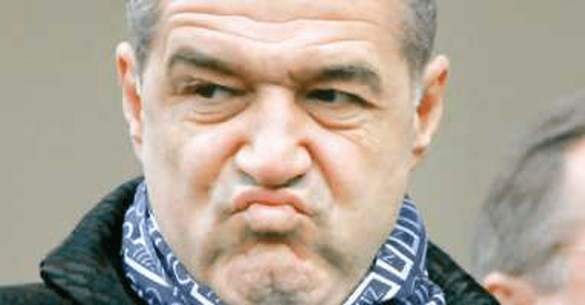 Becali: "Îmi pare bine că Meme şi Răducan sunt din nou uniţi" | adevarul.ro