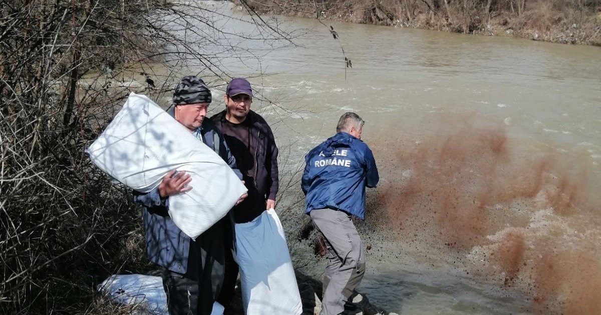 Râul Jiu a fost poluat de termocentrala Rovinari | adevarul.ro