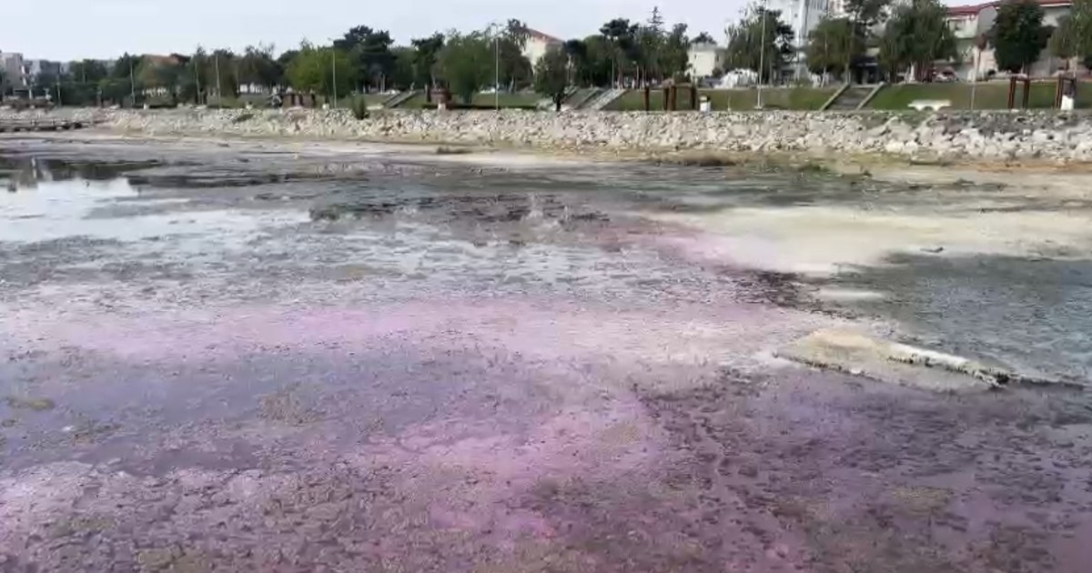 Techirghiol, singurul lac roz din România. Imagini cu spectacolul ...