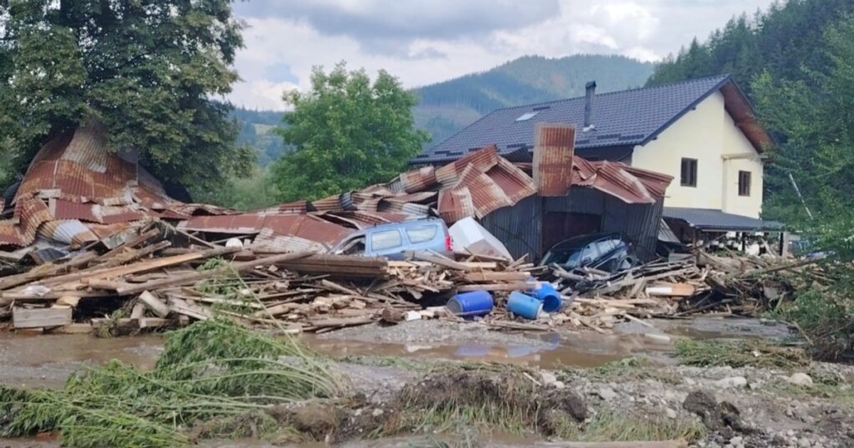 Stare de alertă în Borca. Viiturile au adus tone de gunoaie și animale ...