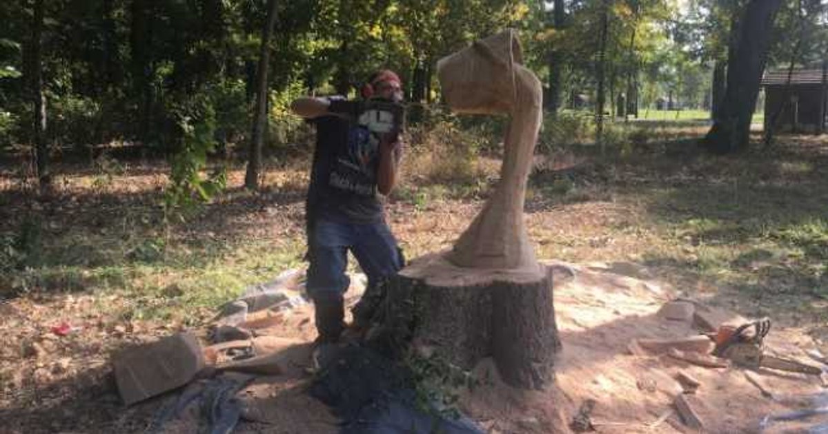 FOTO Un craiovean transformă copacii bătrâni în opere de artă. Arborii ...