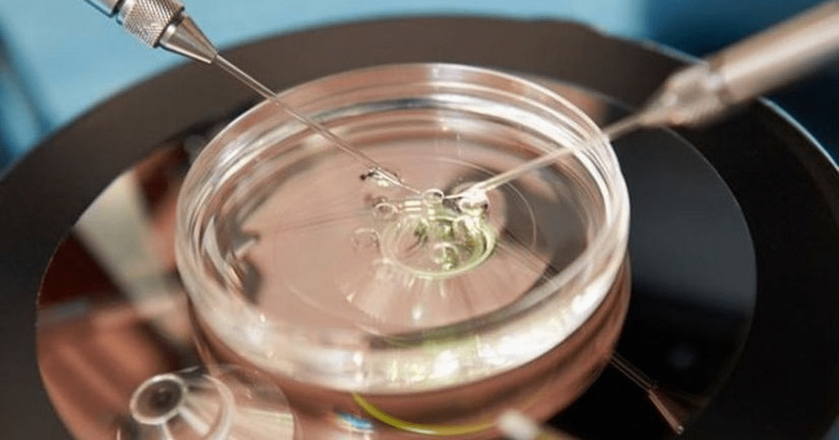 Fertilizarea in vitro sau inseminarea artificială, care sunt diferenţele?