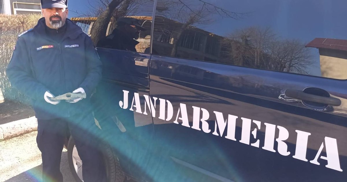 Descoperire arheologică valoroasă în Botoșani: Un topor în cruce vechi ...