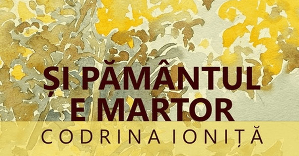„Și pământul e martor” - expoziție Codrina Ioniță la Muzeul de Artă ...