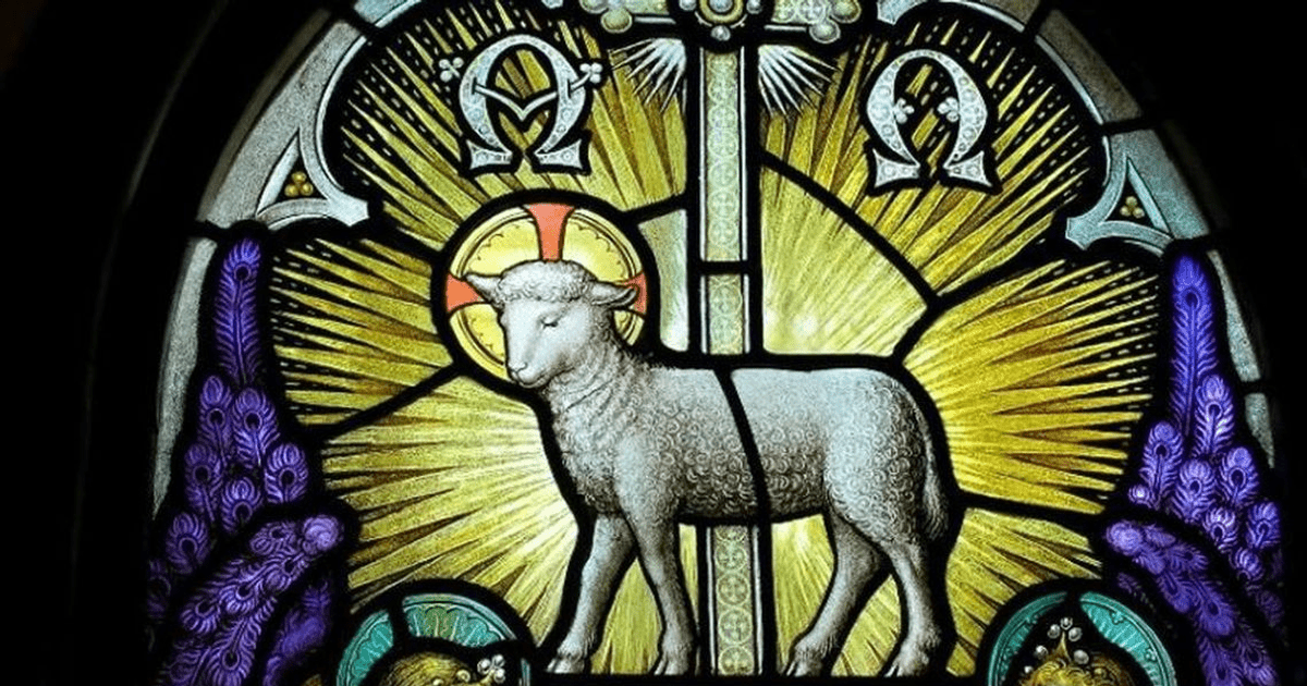 Mielul pascal, veşnicul animal de sacrificiu