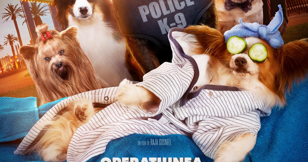 Câştigă o invitaţie dublă la filmul: ”Show dogs”