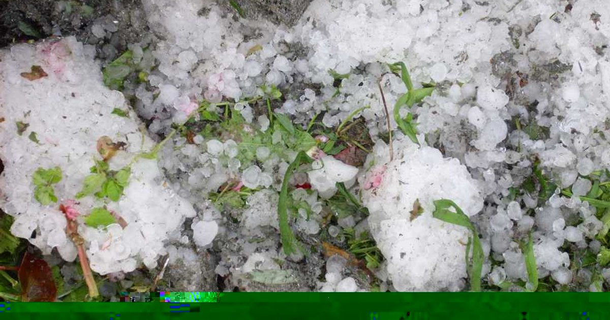 Grindina a distrus case şi culturi agricole în judeţul Suceava ...