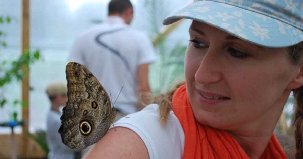 GALERIE FOTO Sute de fluturi exotici îi așteaptă pe turiști la Praid | adevarul.ro