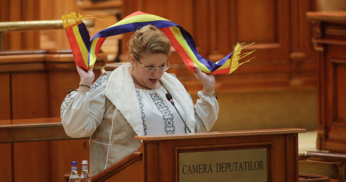 Șoșoacă, scandal la ușa CCR. A venit însoțită de un influencer care l-a ...