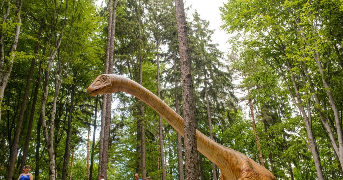 Dino Parc este Destinația Anului în România. Locul în care se distrează ...