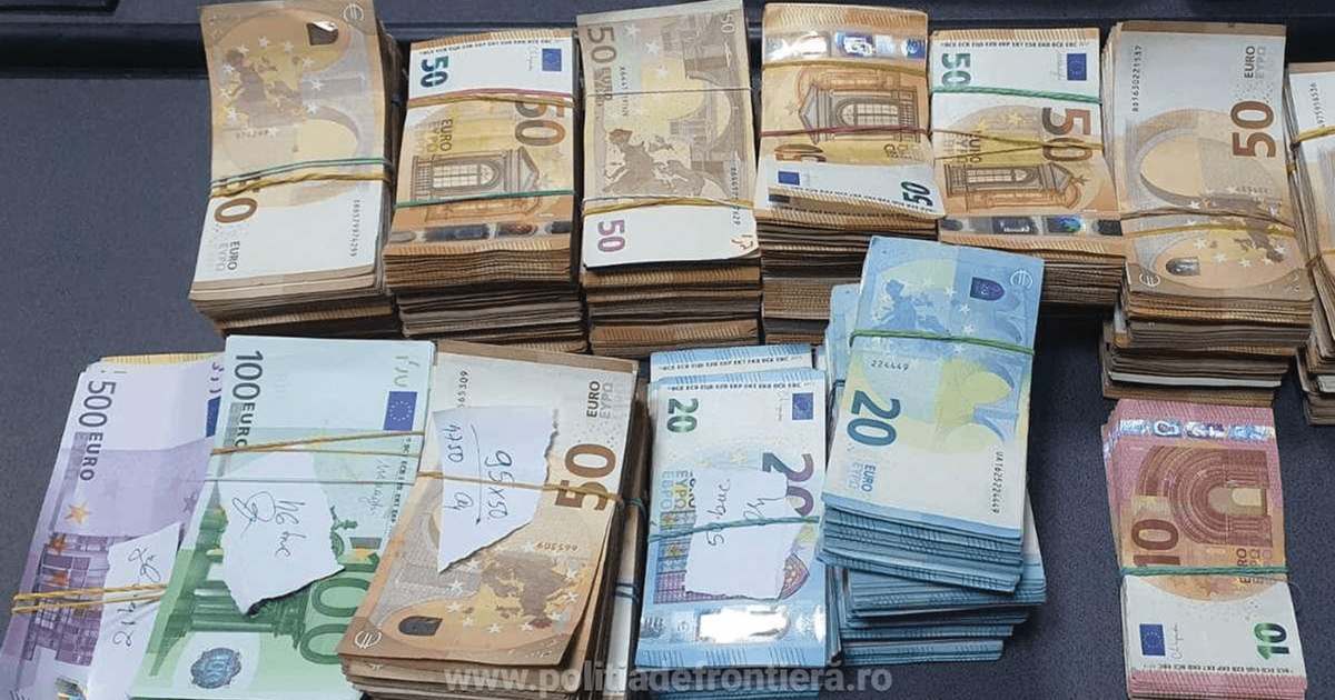 Furturi şi fraude informatice comise în Austria. Un bărbat din Neamţ a ...