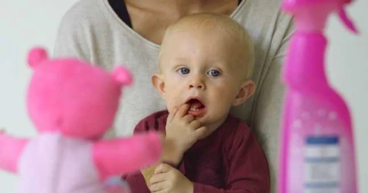 Bonele, menajerele sau grădinarii refuză să se angajeze cu carte de ...