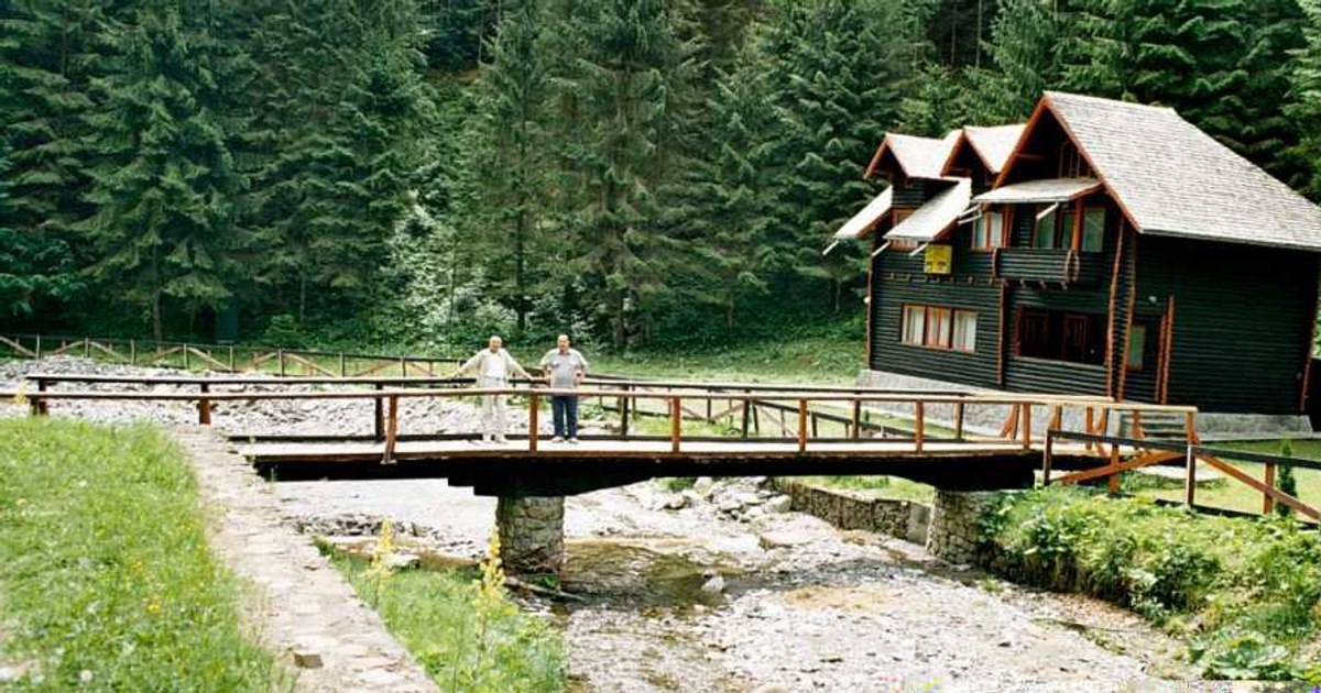 Romsilva: Raportul Consiliului Concurenţei pe piaţa lemnului este ...