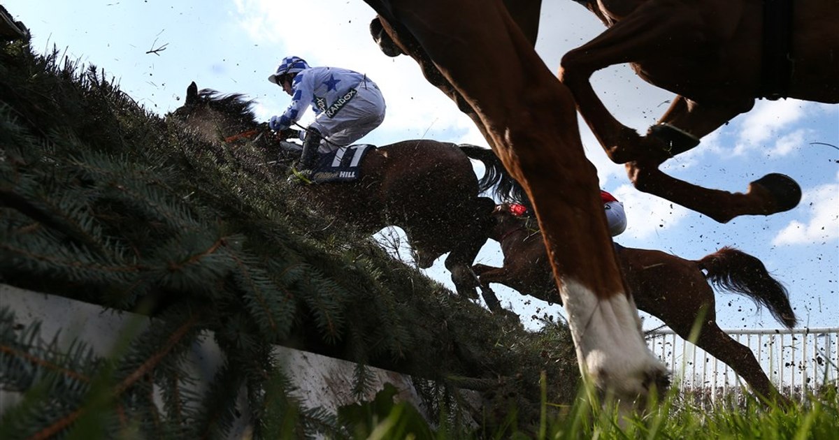 O femeie a fost strivită de doi cai, în timpul competiției The Grand ...