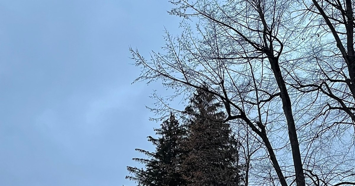 Surprize pentru fanii serialului „Wednesday”, la Castelul Cantacuzino ...