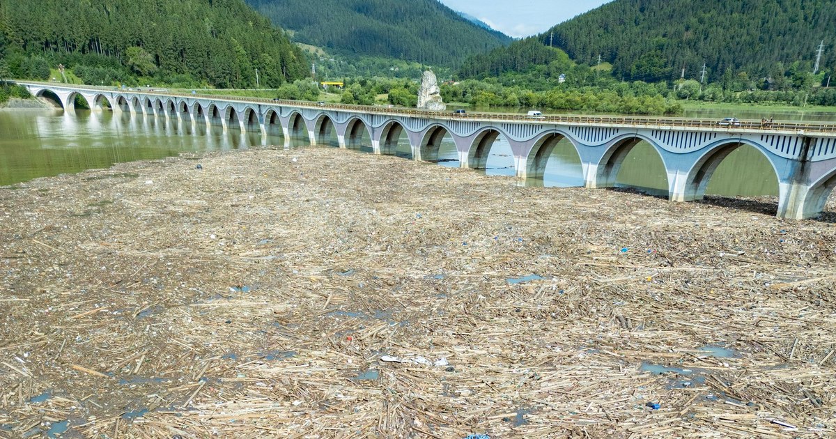 Imagini dezolante de la Barajul Bicaz, unde mai multe tone de lemne ...