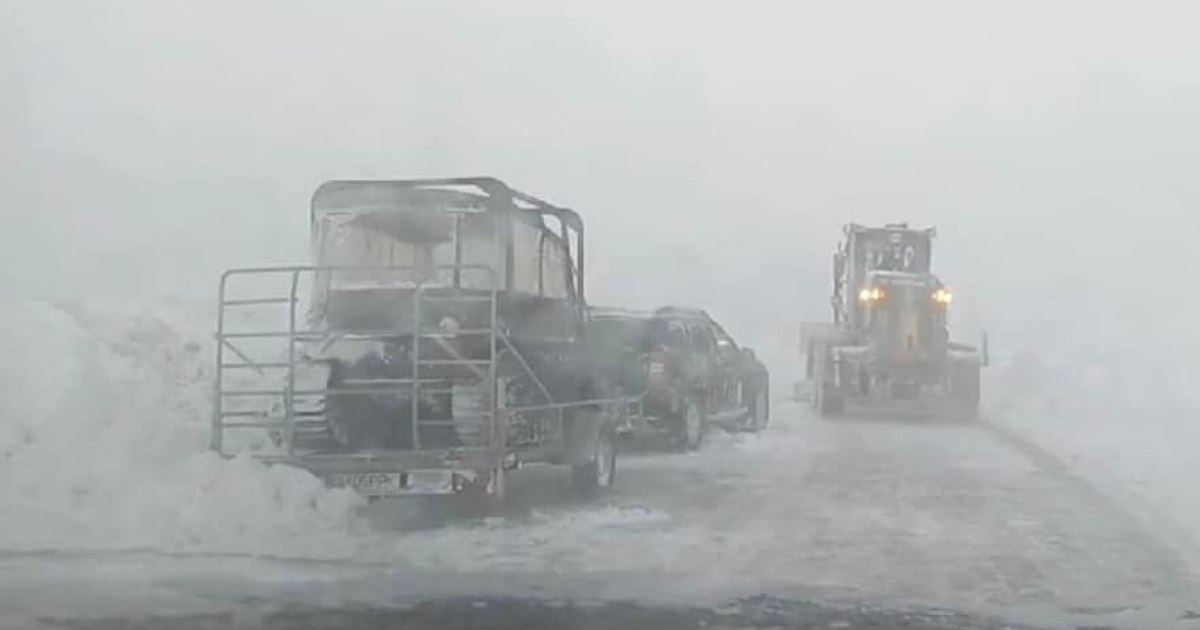 Troiene de zăpadă de peste jumătate de metru înălțime, în Galați: peste ...