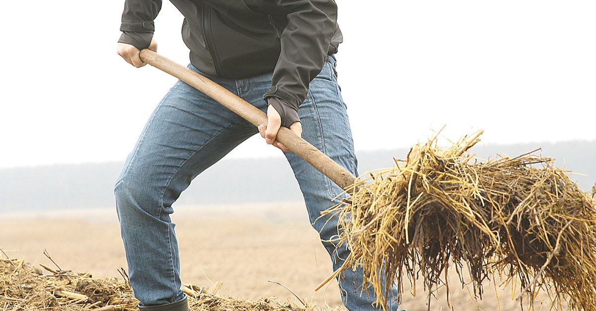 «Ferma Vedetelor». Totul despre vedetele de la coada vacii