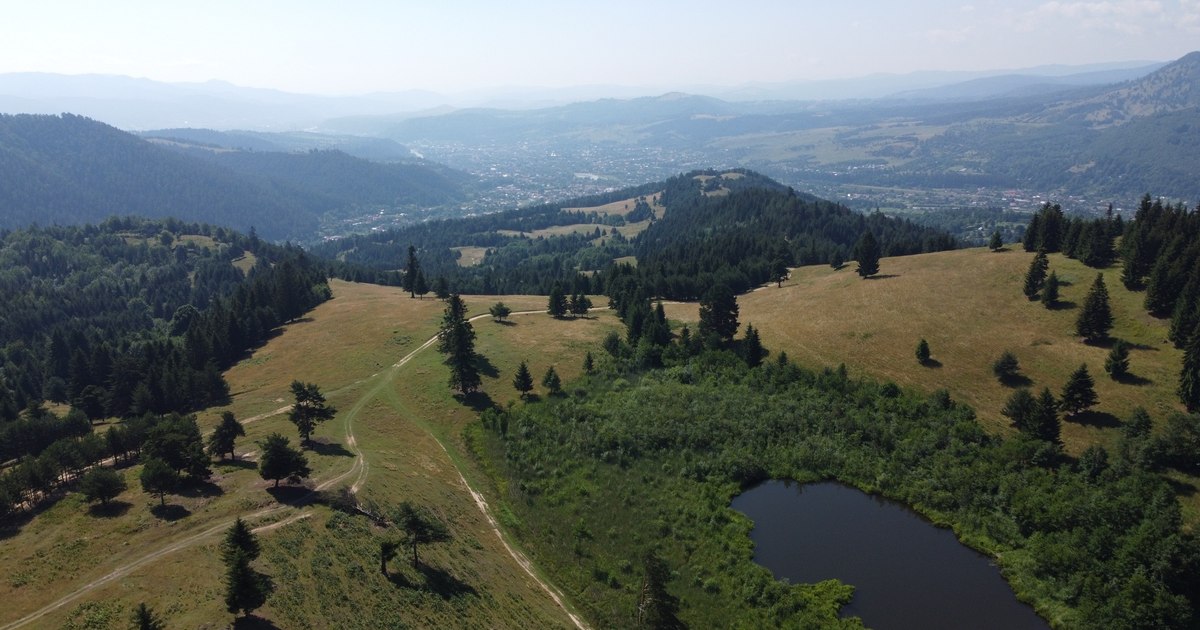 Trasee montane de luat la pas în județul Bacău. Unde sunt pădurile ...