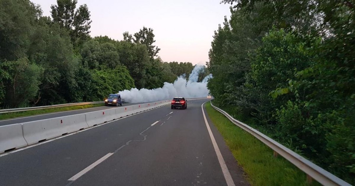 Invazie de insecte. Tratamentele pentru stârpirea ţânţarilor au fost ...