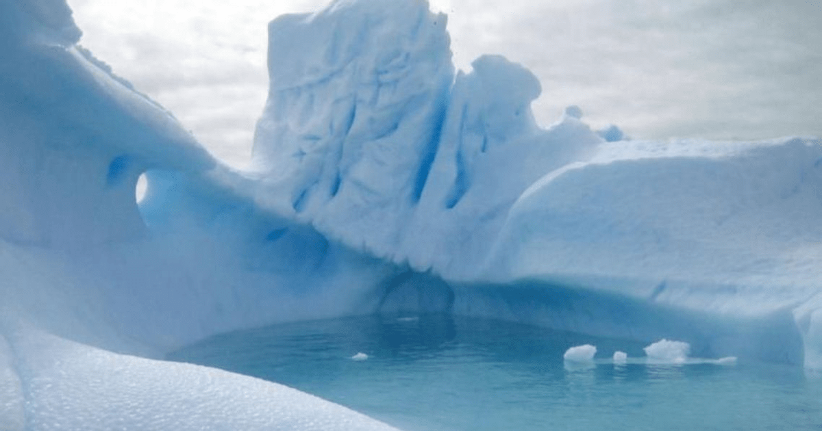 NASA a descoperit viaţă extraterestră sub gheaţa Antarcticii