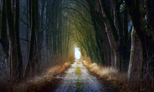 Schelet dezmembrat descoperit în Apuseni, îngropat după un ritual ...